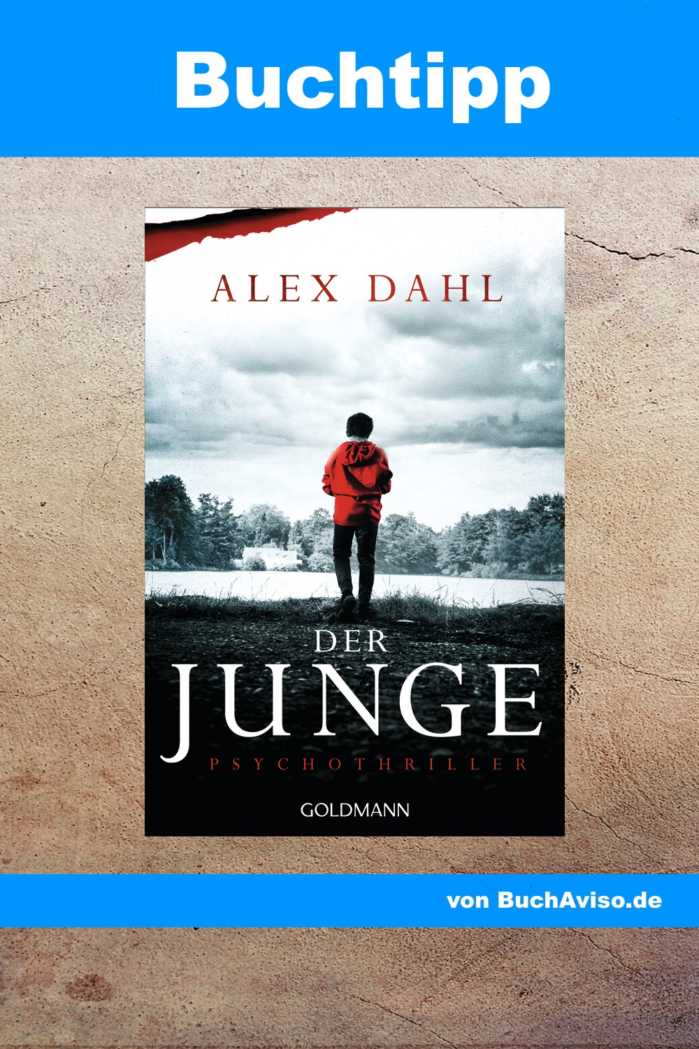 Buchrezension | Der Junge von Alex Dahl